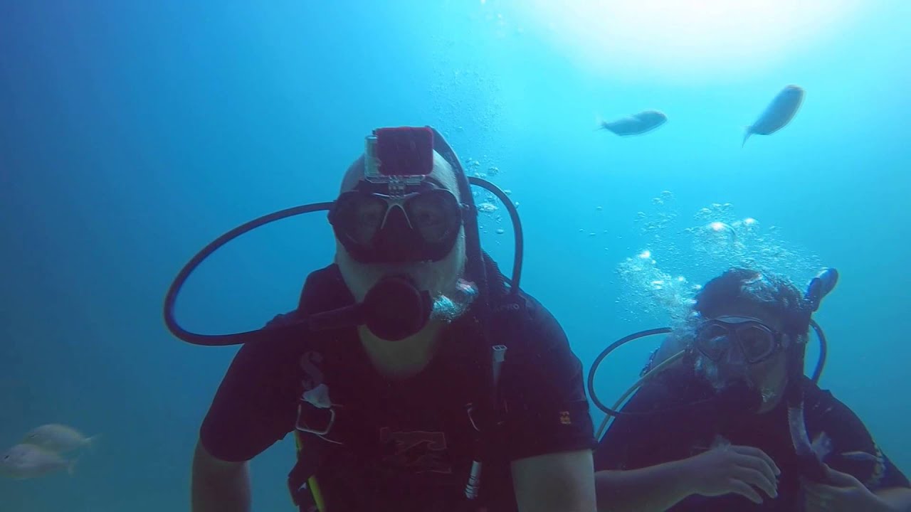 Destin FL. Dive - YouTube