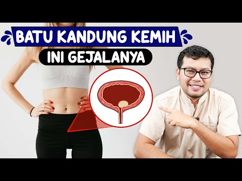 BATU KANDUNG KEMIH BEGINI GEJALANYA - DOKTER SADDAM ISMAIL
