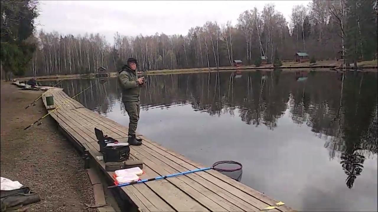 Форель в верхнем горизонте. Клёвое место, Лосиный остров, нижний водоём ...