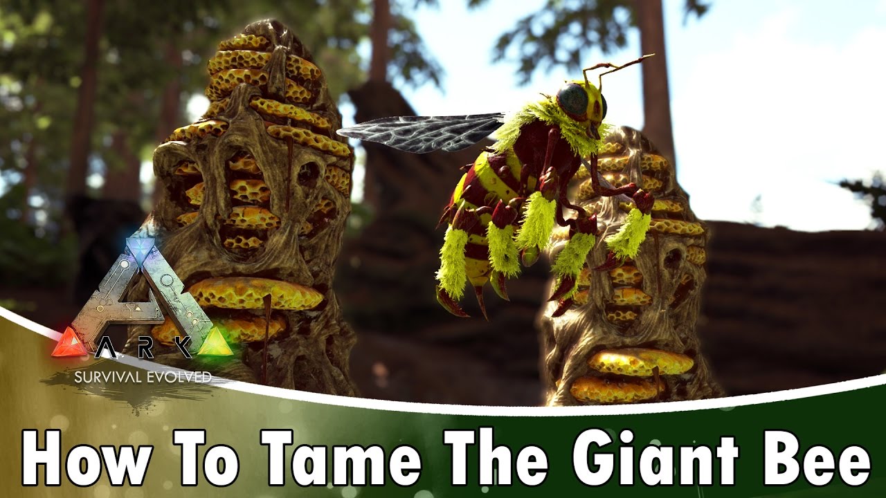 🐝 Patch v257.0 | How To Tame The Giant Bee!!!🐝 - YouTube