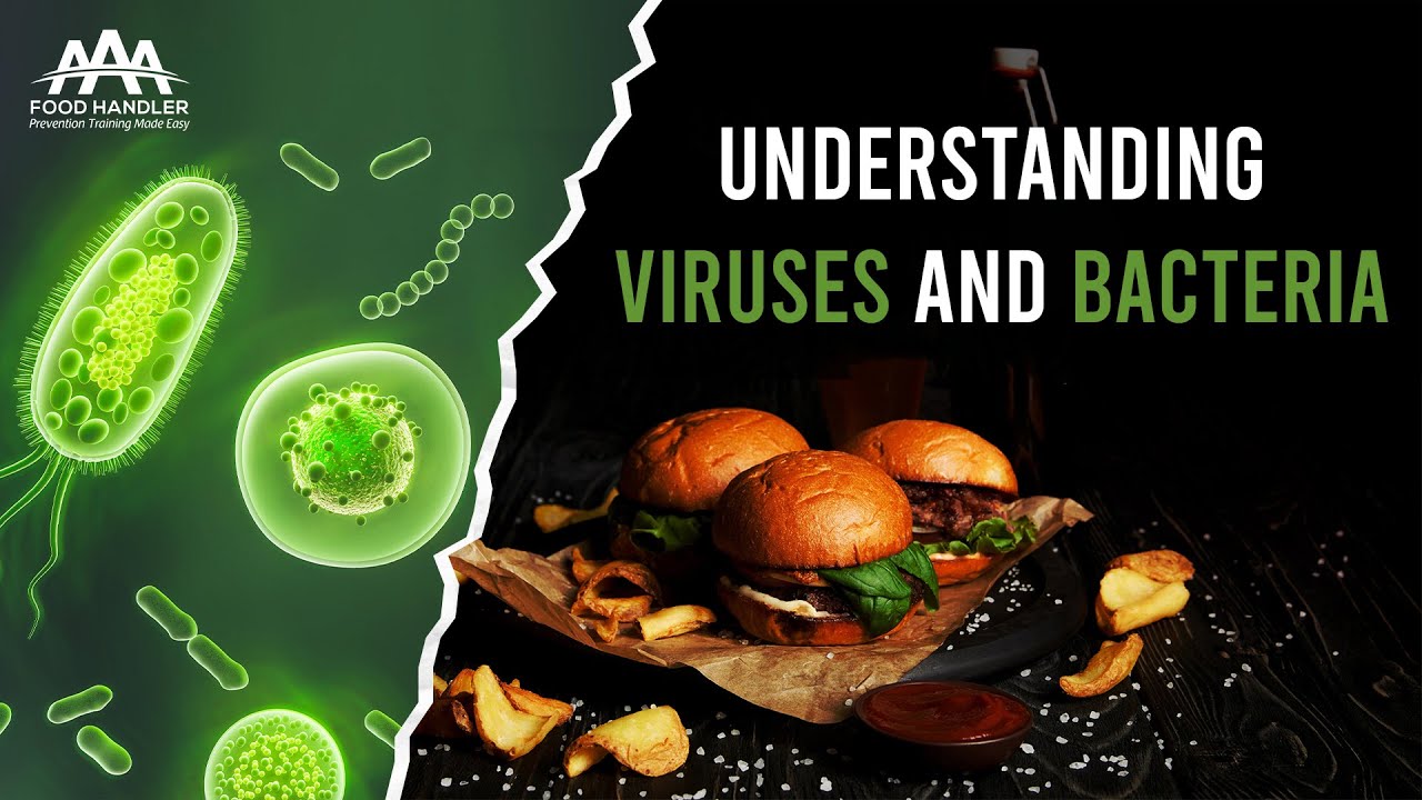 Understanding Viruses and Bacteria: What You Need to Know - YouTube