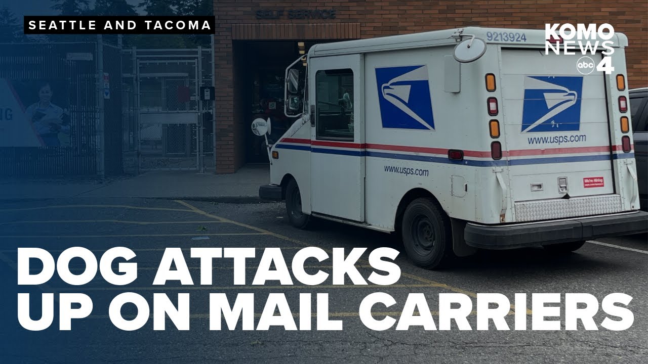 Seattle, Tacoma rank among top US cities with most dog attacks against ...