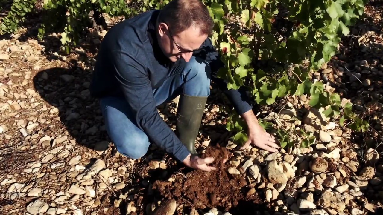 video remi pouizin - YouTube