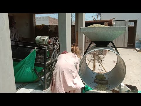 How To Work Peas Grading Machine | Peas Sorting System - YouTube