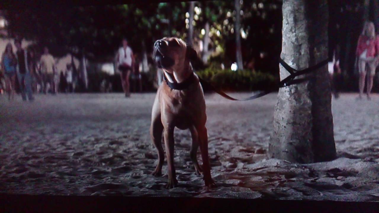 Godzilla (2014) - Godzilla makes tsunami - YouTube