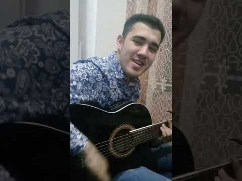 Elsever Ezizli offical