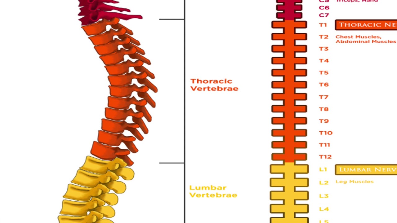 9th Grade Health Project - YouTube