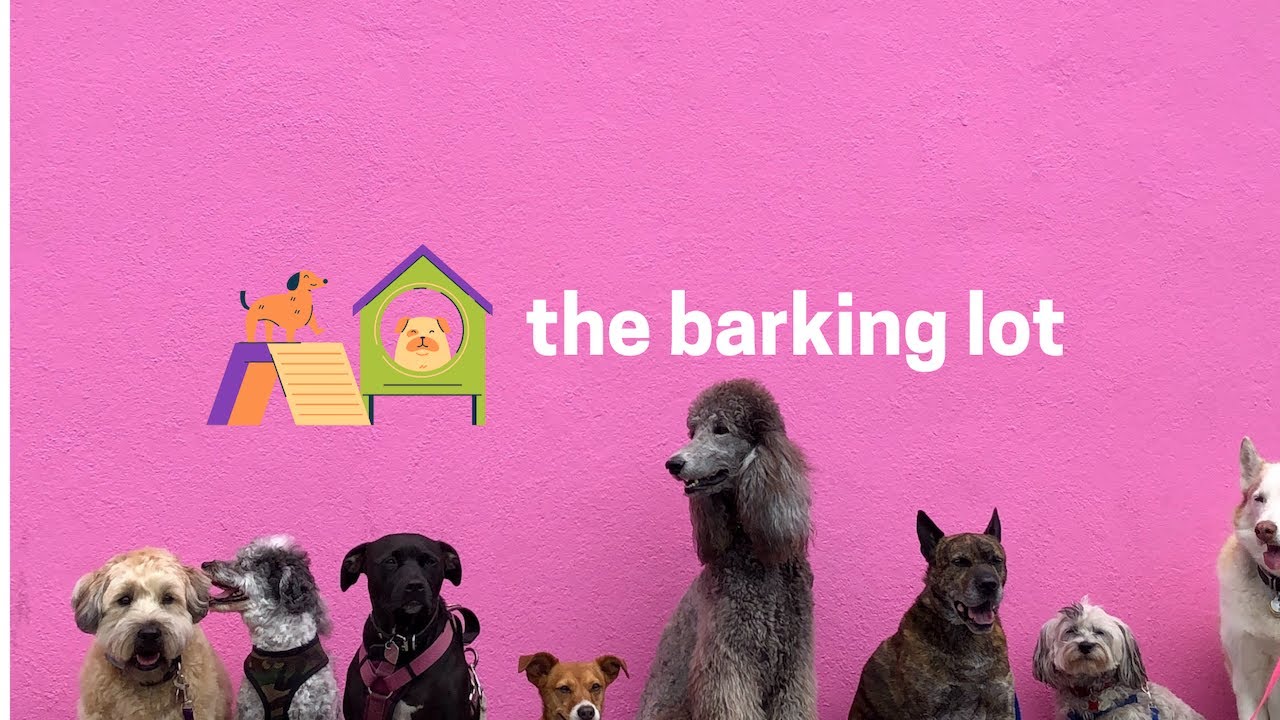The Barking Lot - YouTube