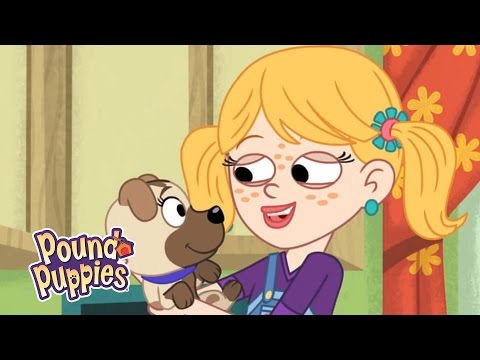 Pound Puppies- I Love You, Pooches, I Have Always Have!