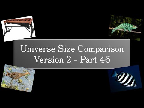Everything Size Comparison 202X Part 46: 30 cm ~ 43 cm - YouTube