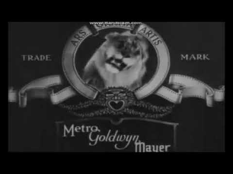 MGM Tanner The Lion Marx Original - YouTube