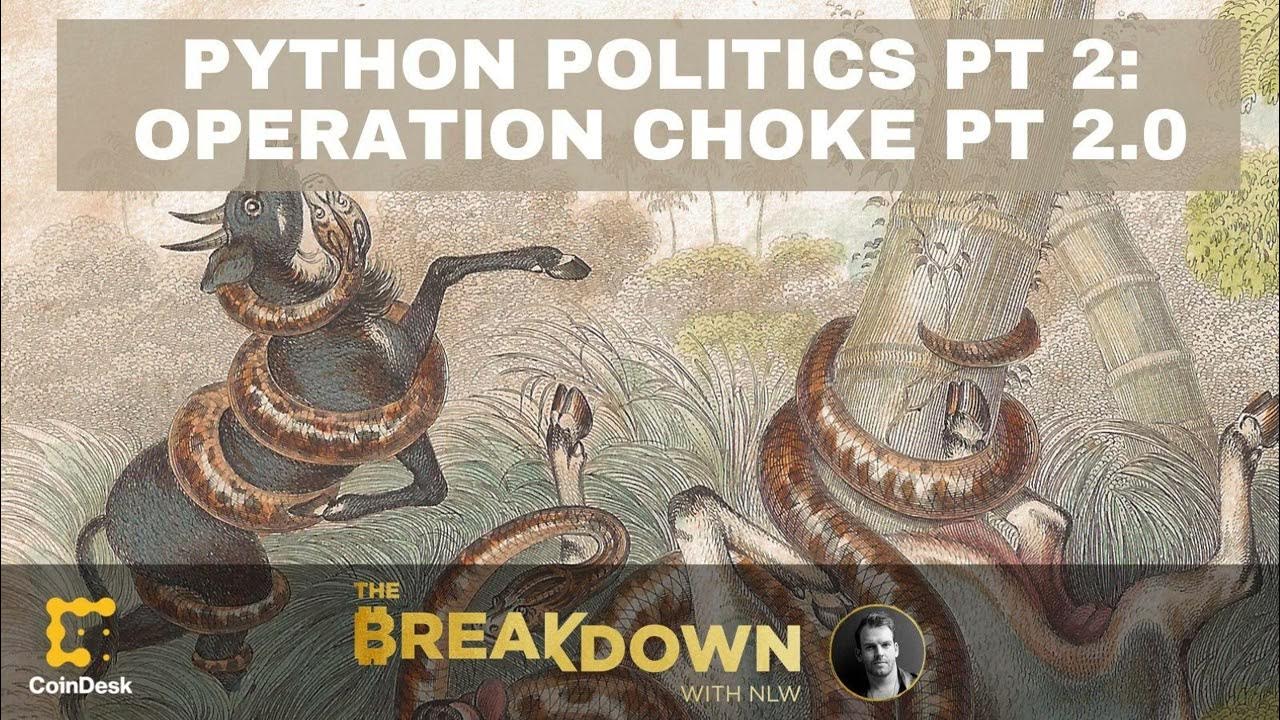 Python Politics Part 2: Operation Choke Point 2.0 Begins - YouTube