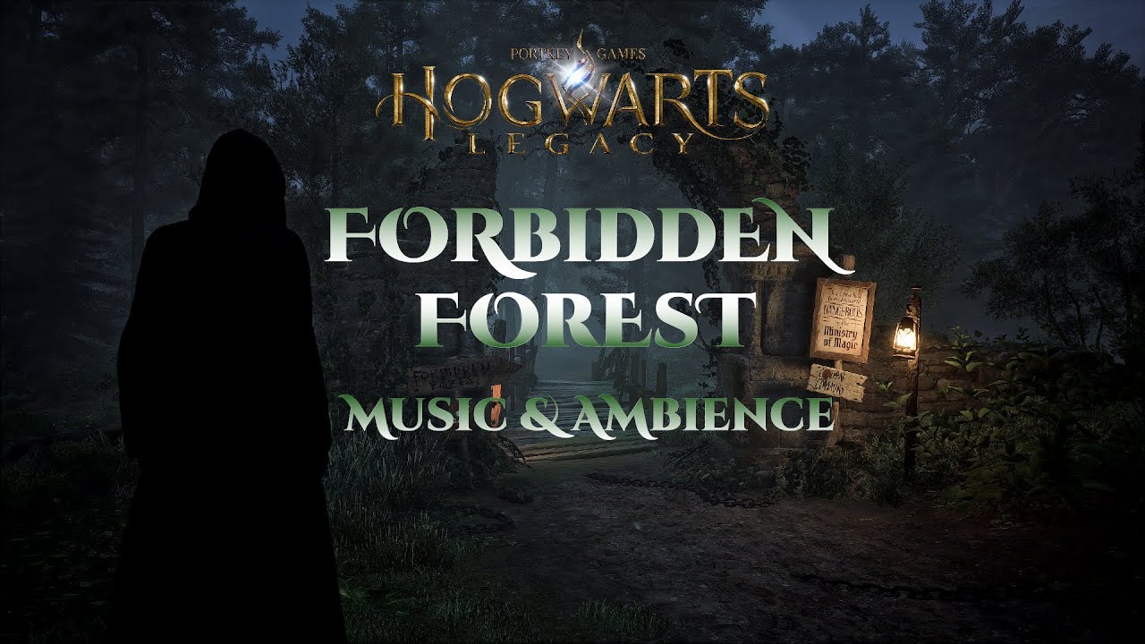 Forbidden Forest | Harry Potter Hogwarts Legacy Cinematic Ambience ...