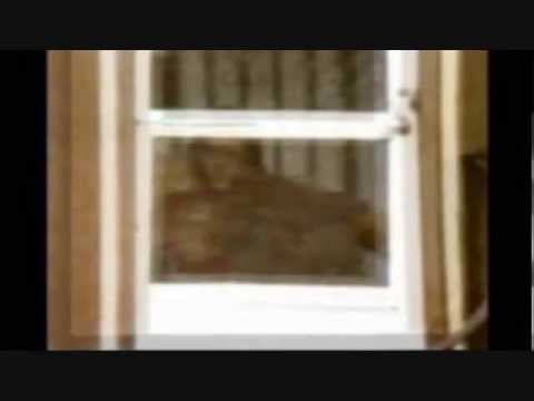 Elvis After Death Pictures - YouTube