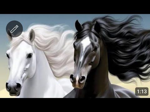 la libertà di un cavallo ( Anima Libera) ️🥰 - YouTube