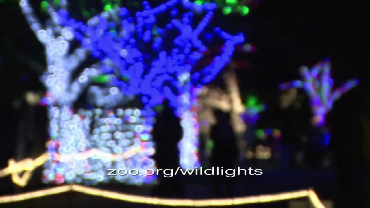 Wildlights at Woodland Park Zoo Seattle - YouTube