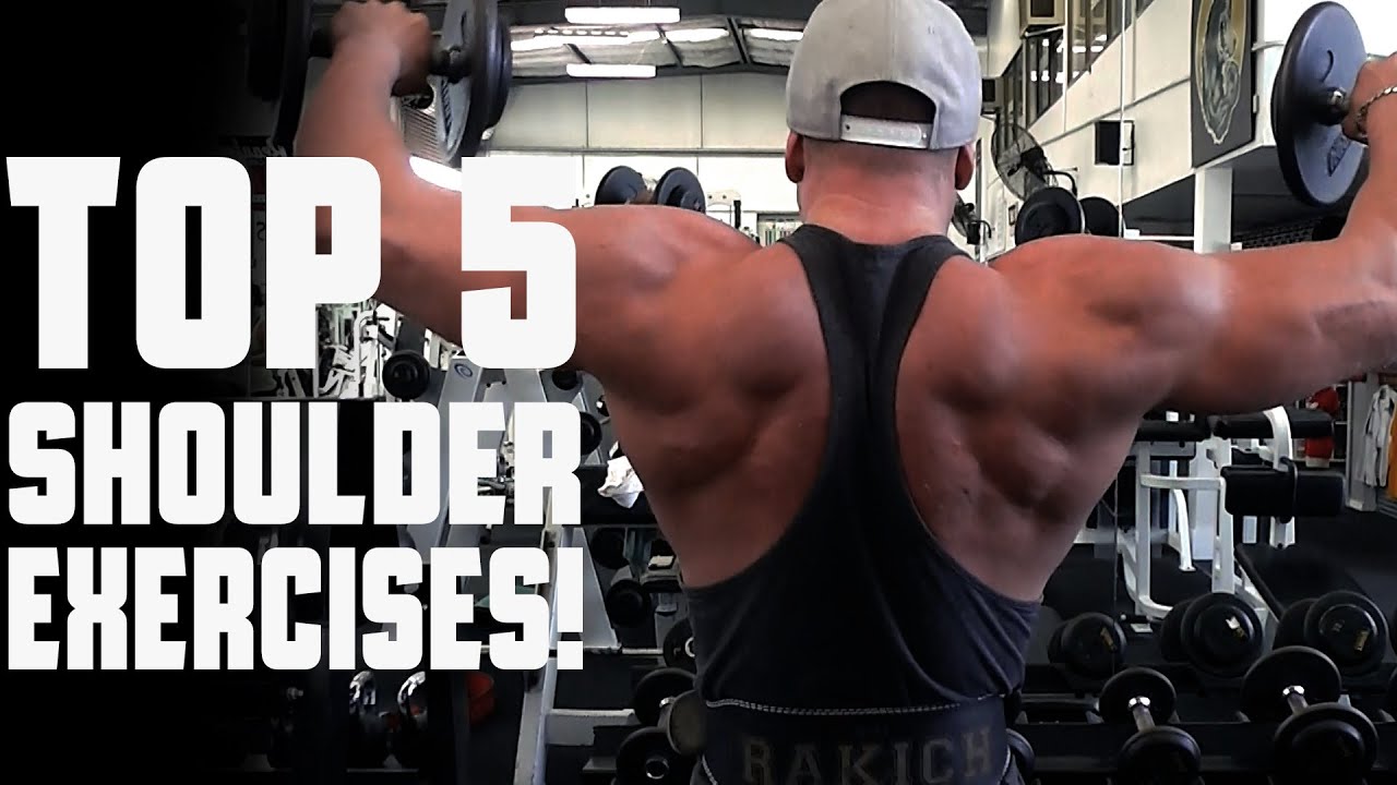 TOP 5 SHOULDER EXERCISES! - Josef Rakich - YouTube