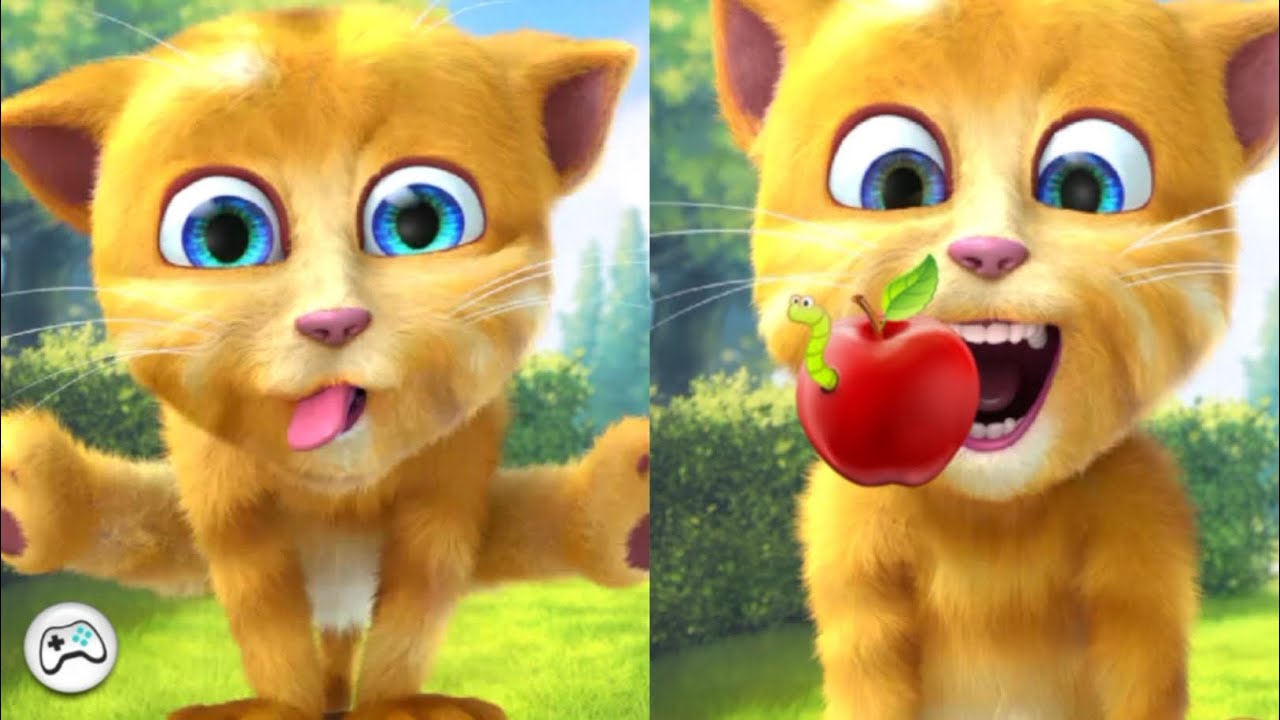Talking Ginger Learns To Sing But Sounds So Funny 🎤🤣 - YouTube