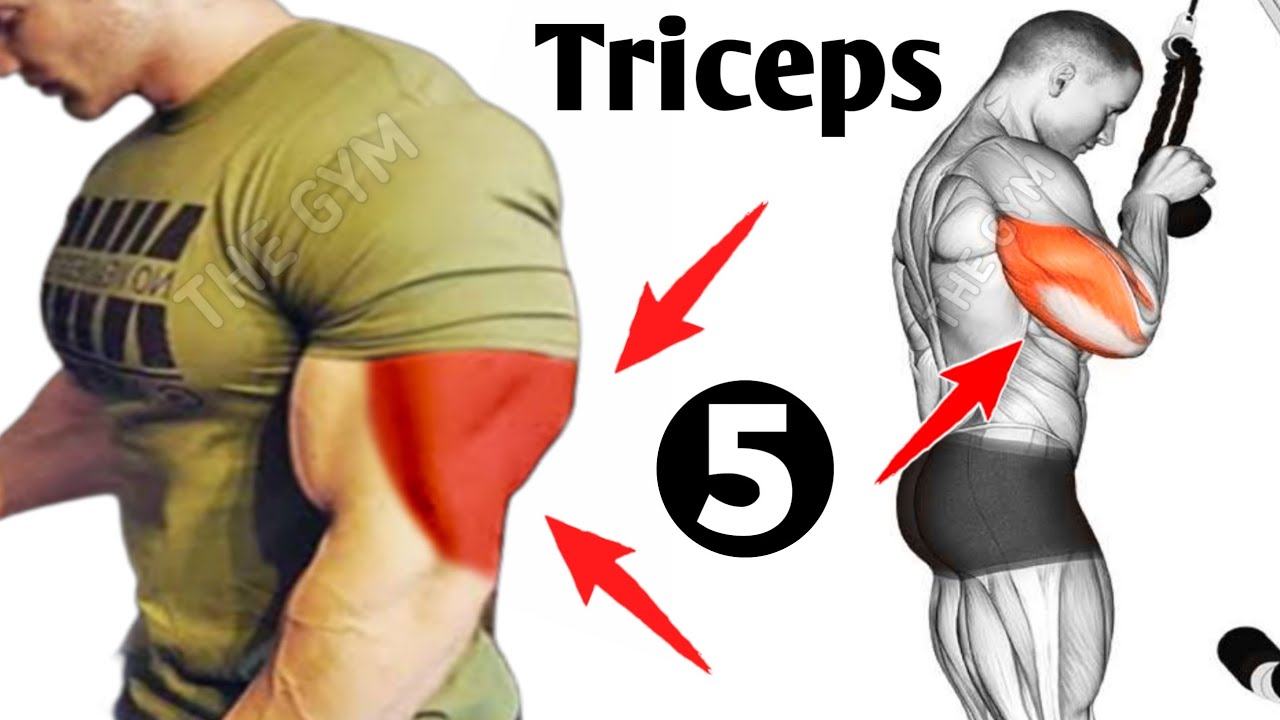 My Top 5 Exercises For Bigger Triceps - Triceps Workout - YouTube
