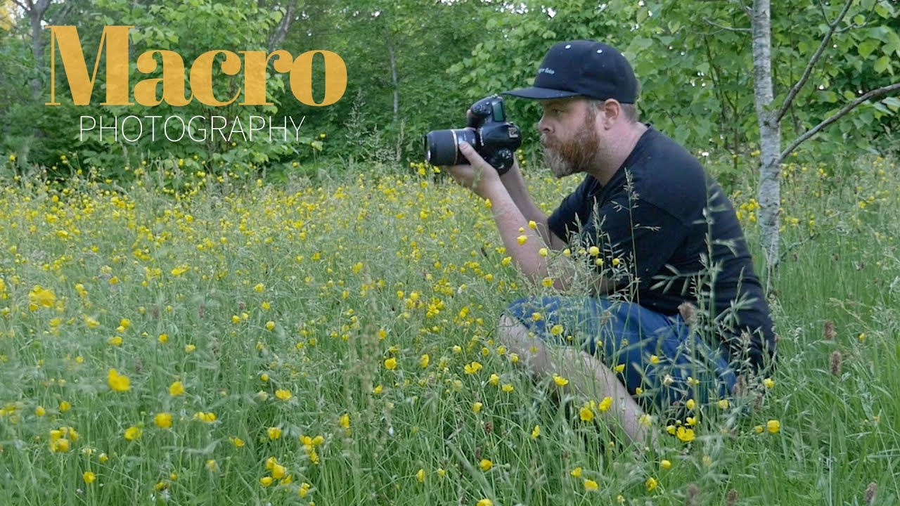 MACRO PHOTOGRAPHY tips and tricks || nature photography camera settings ...