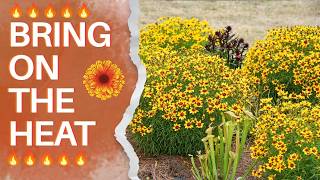 Are Brutal Summers Killing your Garden? Try these 7 Perennials Instead | Walters Gardens