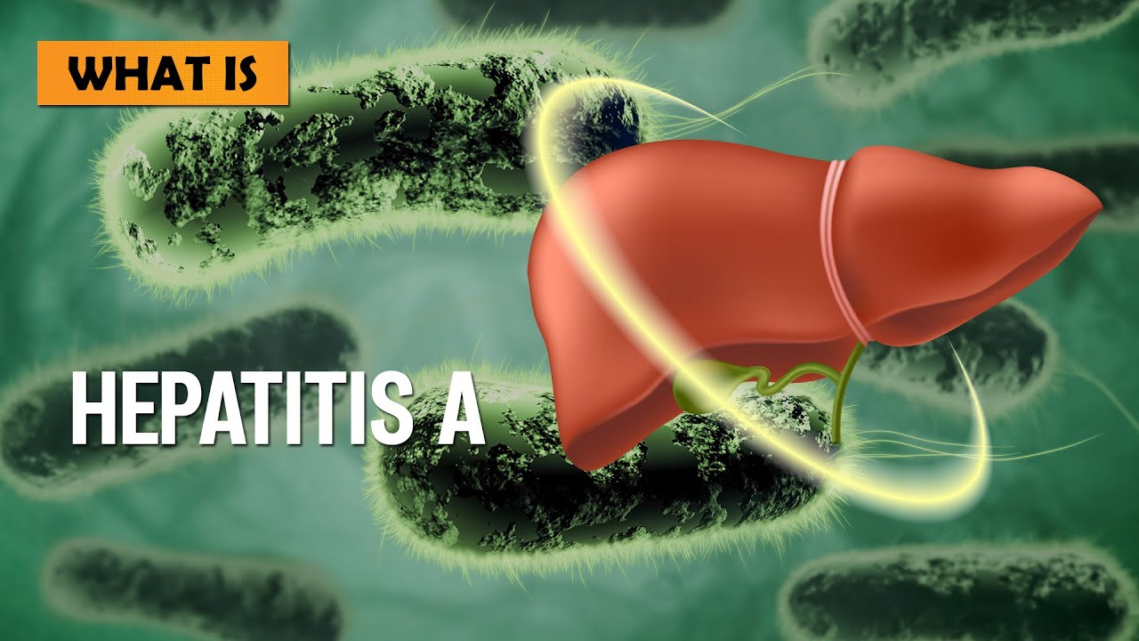 What is Hepatitis A - YouTube