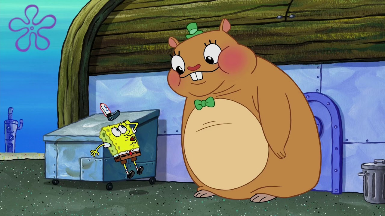 SpongeBob Music: Borborygmus - YouTube