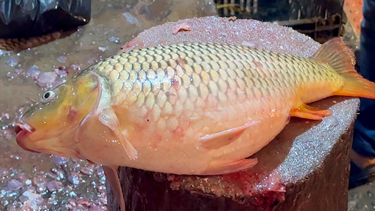Amazing Big Carp Fish Cutting By Expert Fish Cutter | Fish Cutting ...