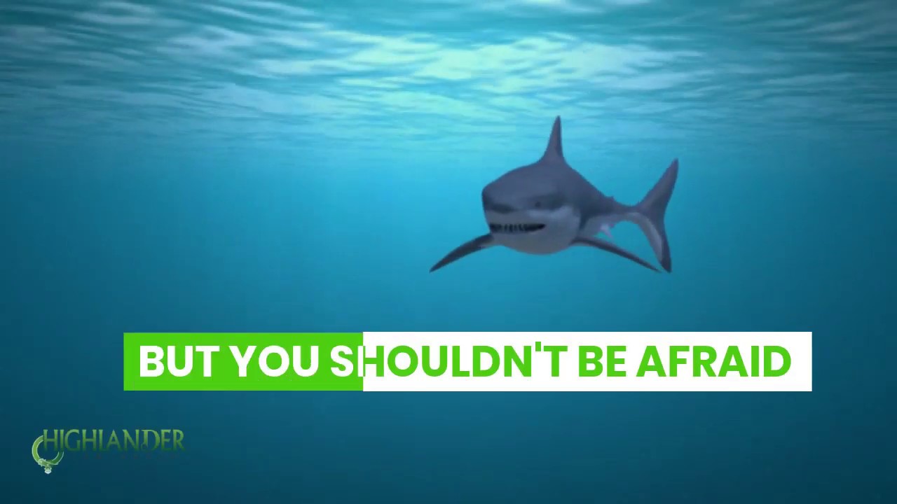 Be afraid of sharks not hiring a lawyer - YouTube
