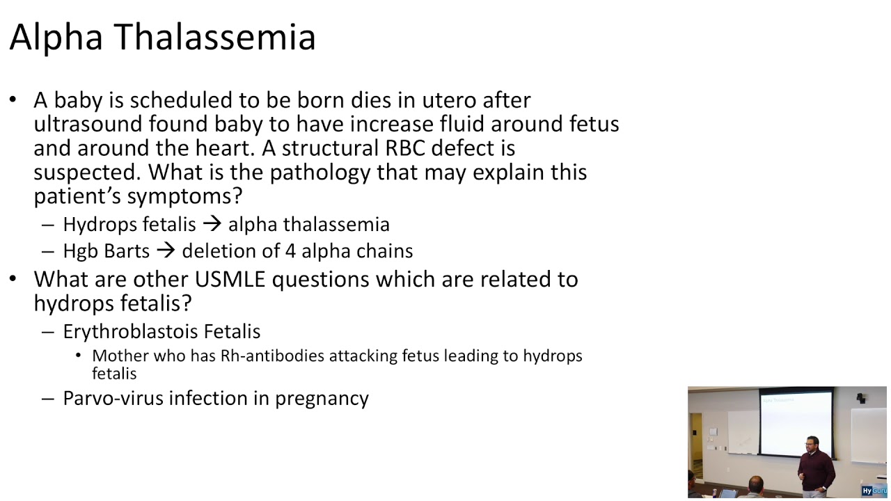 HyGuru USMLE Step 1: Hematology-Oncology | Microcytic Anemia - YouTube