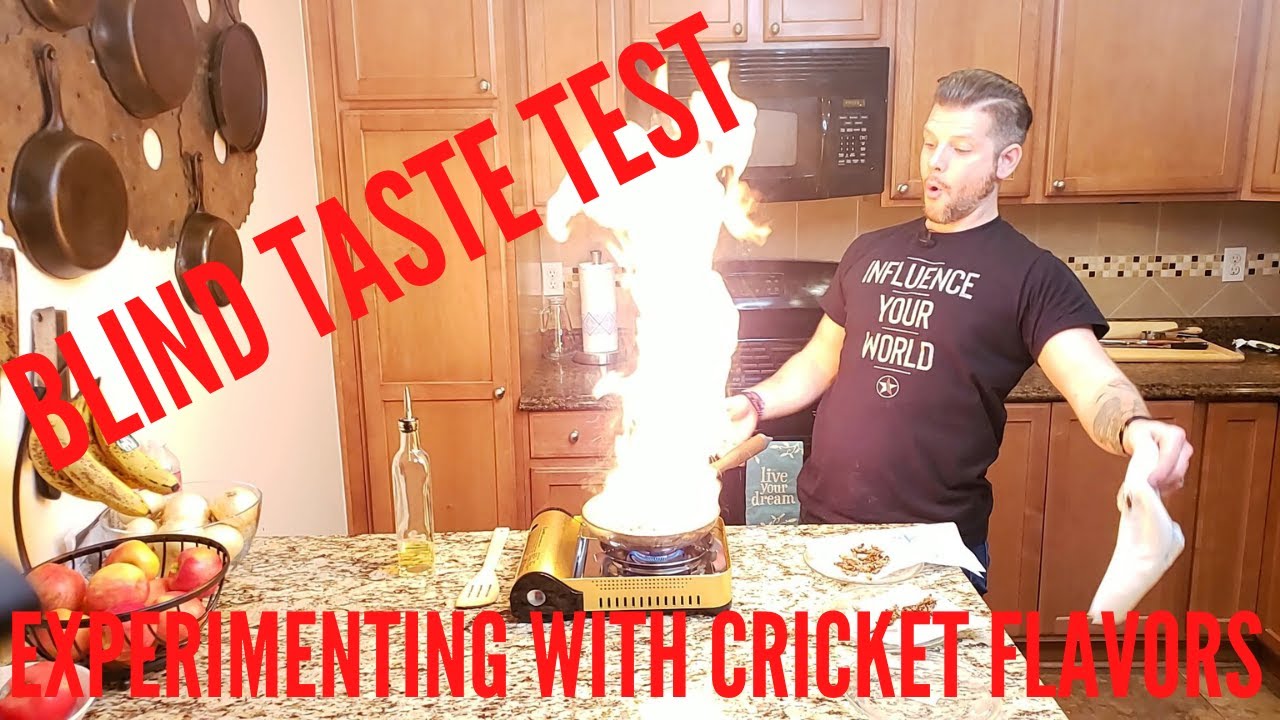 Taste Testing | Experimenting with Cricket Flavors | Cooking With Bugs ...