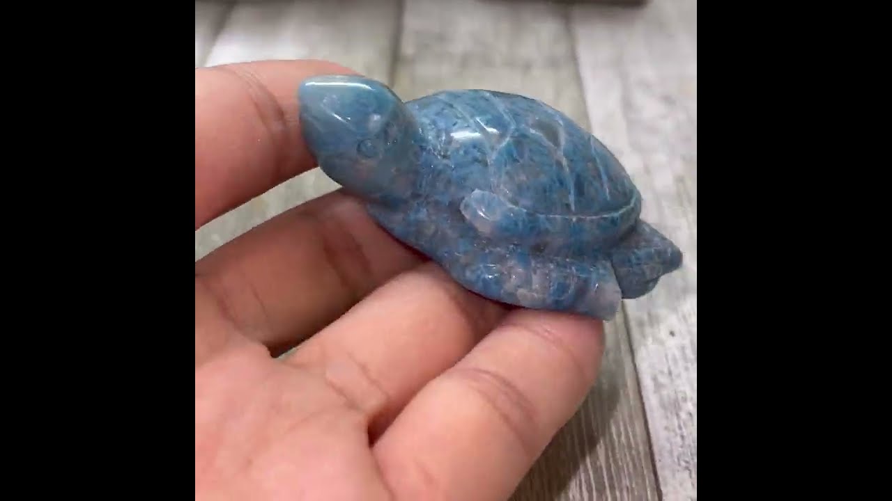 Large Trolleite Turtle, Natural Trollite Sea Turtle Crystal Carving ...