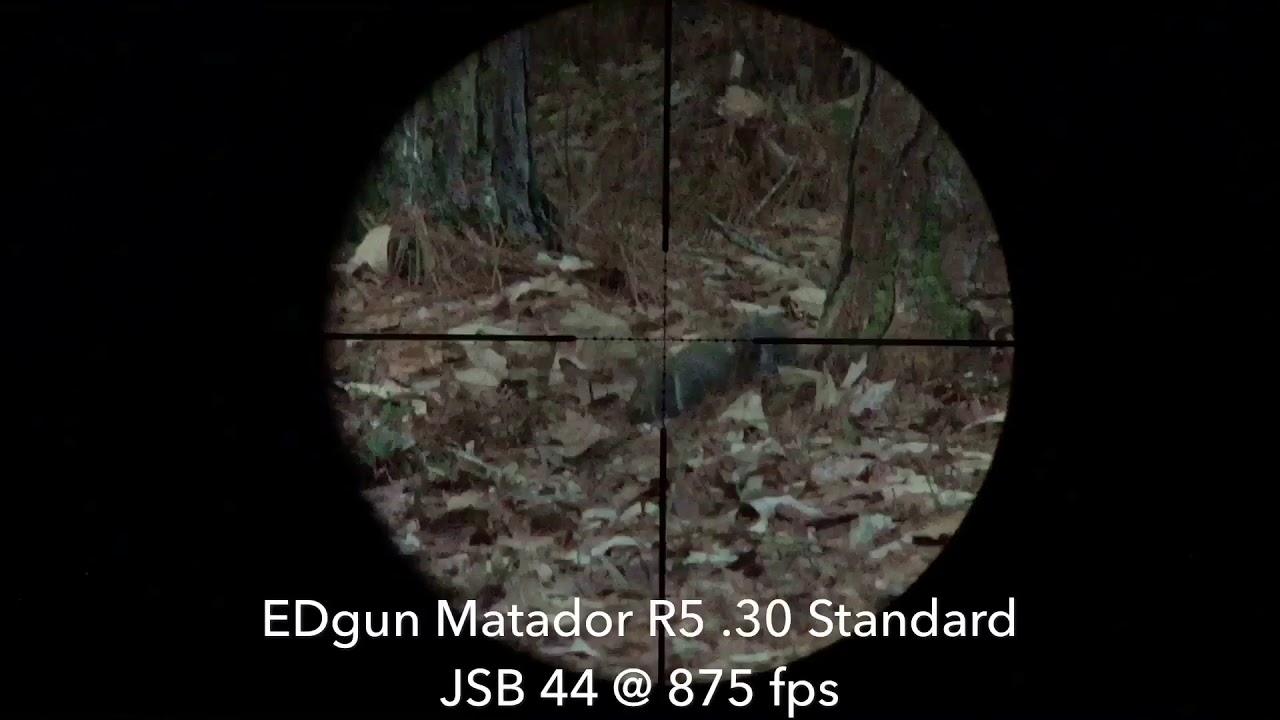 Matador R5 Squirrel Flip - YouTube