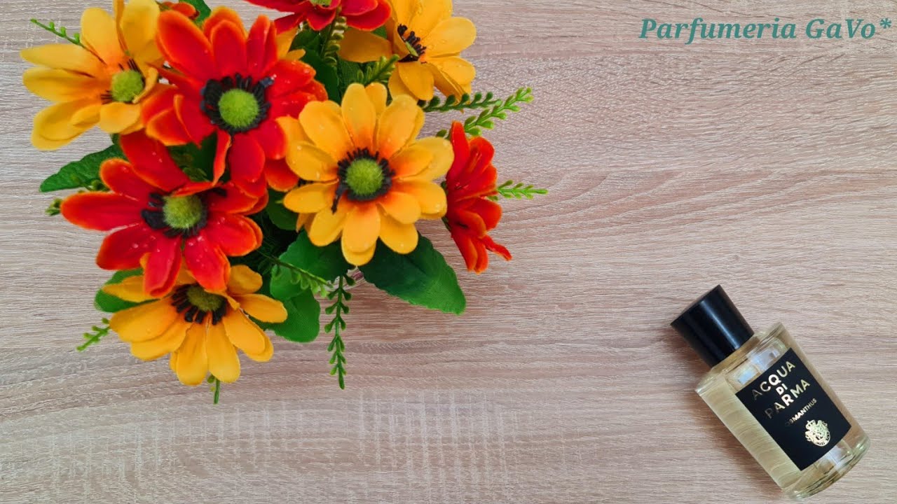 22 Parfumuri Florale...si pentru Barbati! ~ Parfumeria GaVo* - YouTube