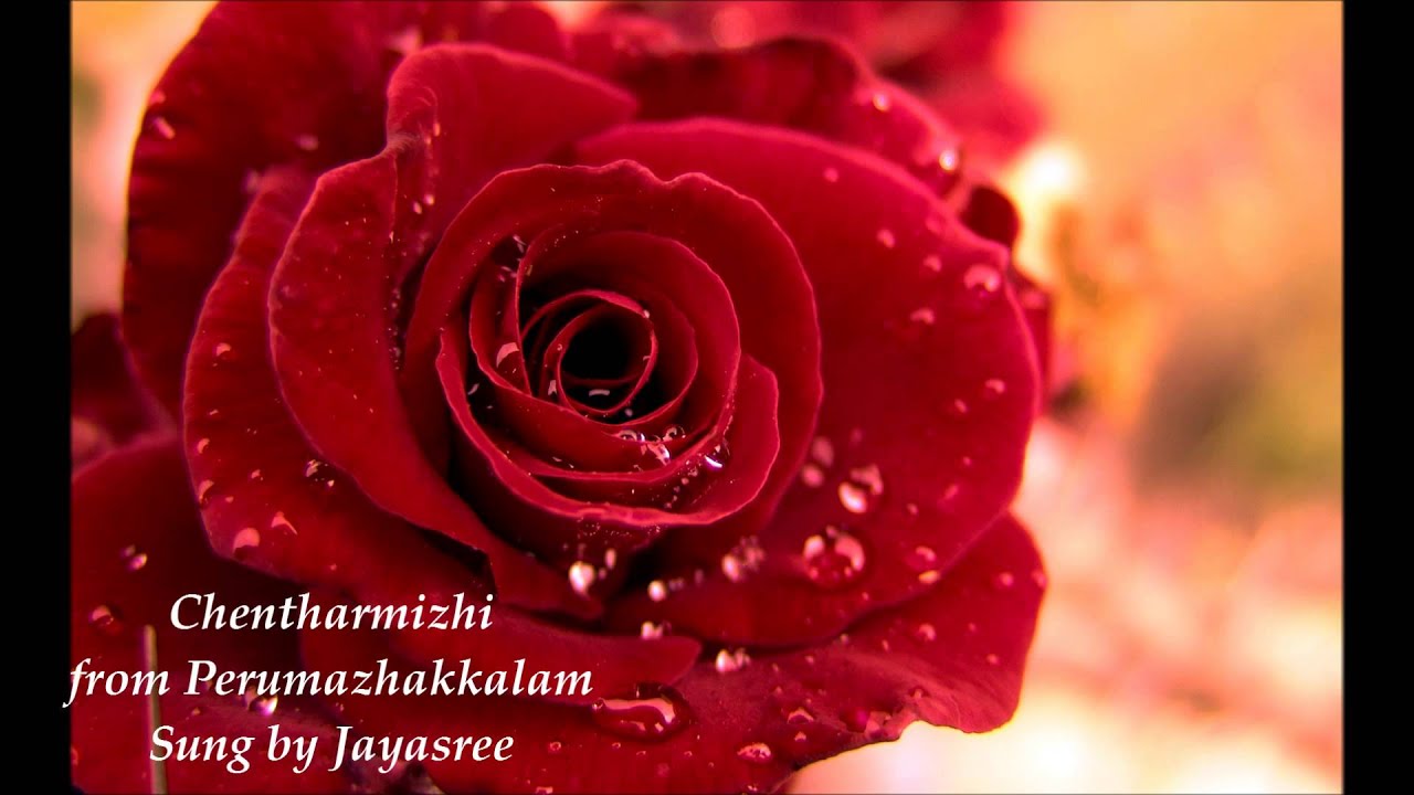 Chentharmizhi song from the Malayalam movie Perumazhakkalam sung by ...