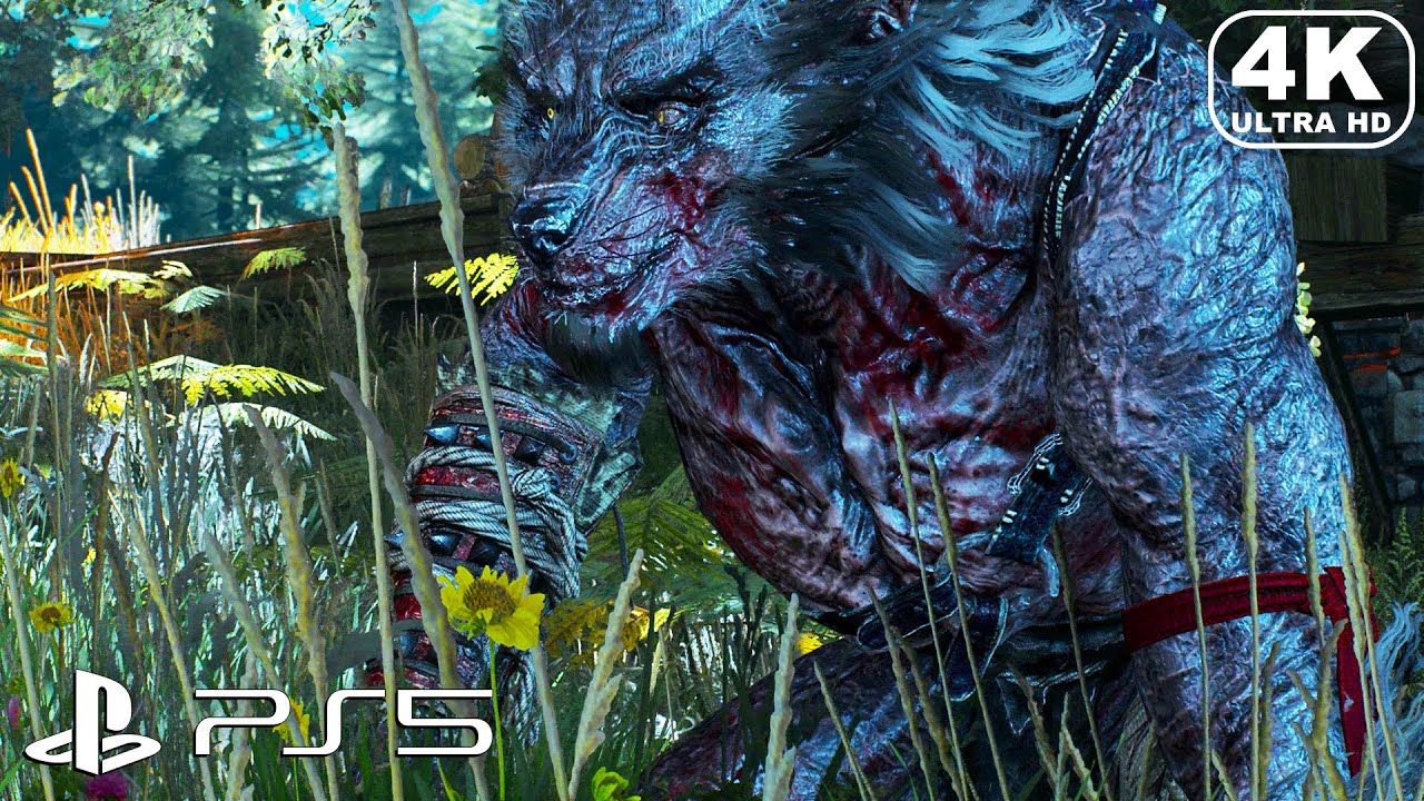 Geralt decides the Fates of the Werewolf & Margrit - The Witcher 3 Wild ...