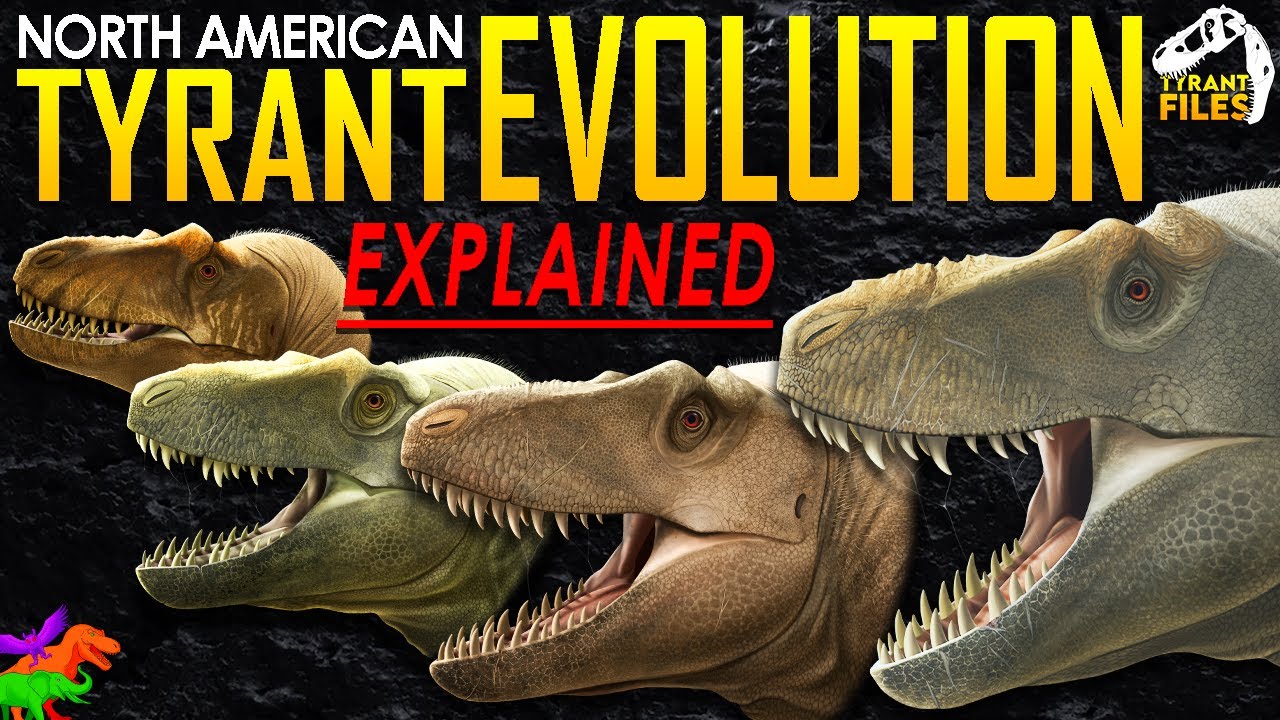 Daspletosaurus Fossils Reshuffle Tyrannosaur Evolution! | TYRANT FILES ...