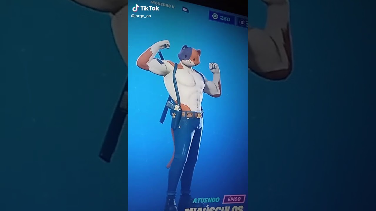 La historia felina de fortnite - YouTube