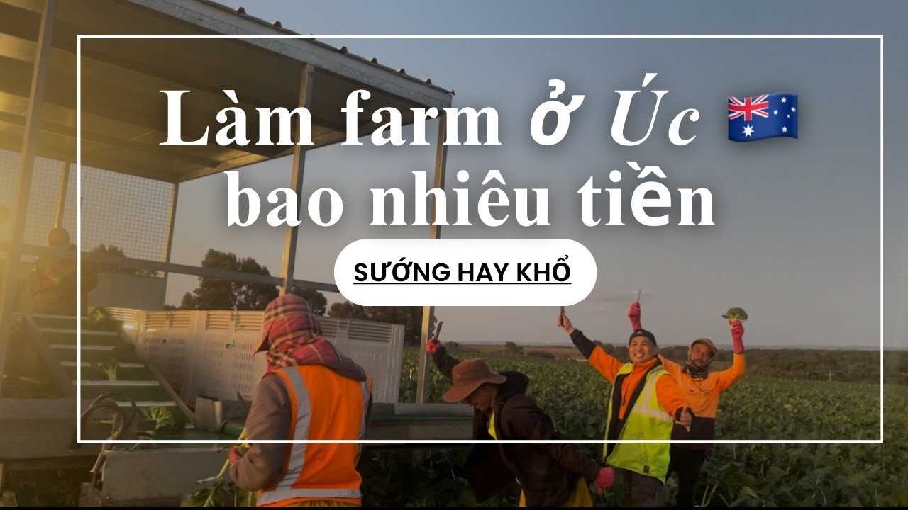 làm farm (nông nghiệp) ở Úc lương 80 triệu/tháng/ lương mới nhất, sướng ...