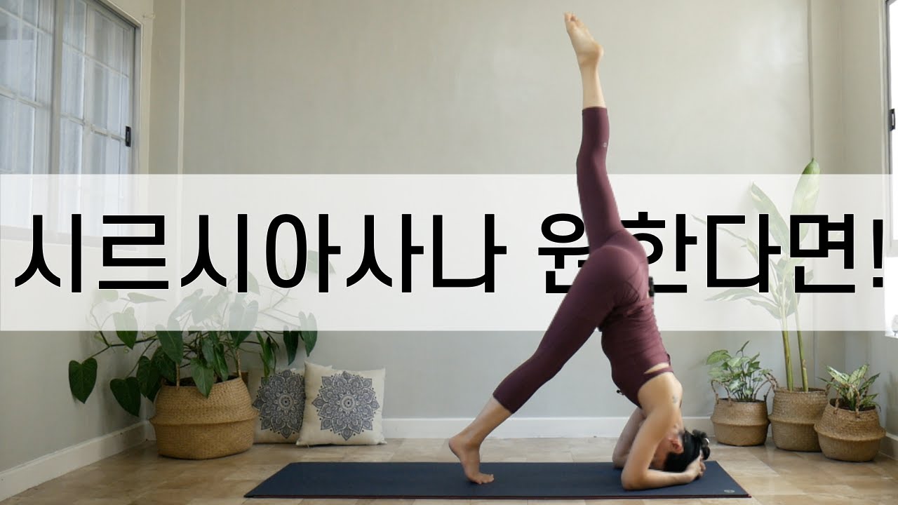 [EVA YOGA]시르시아사나, 해드스탠드를 완성하기 원하시는 분들을 위한 요가 - YouTube