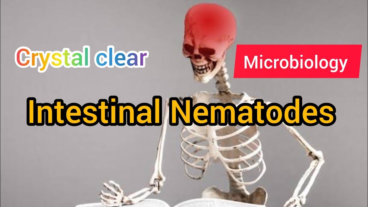 Intestinal Nematodes | Parasitology | MAT Medicos - YouTube