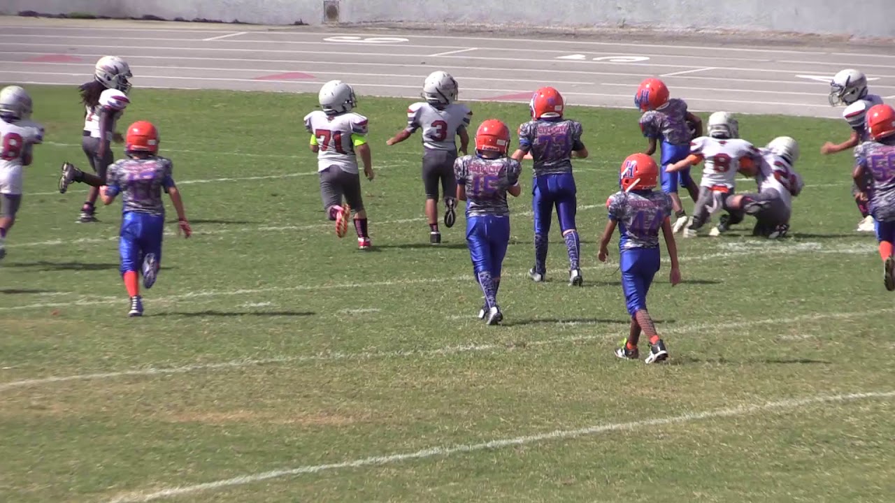 Hardee Wildcats vs East Bay Longhorns (Mighty Mites) - YouTube
