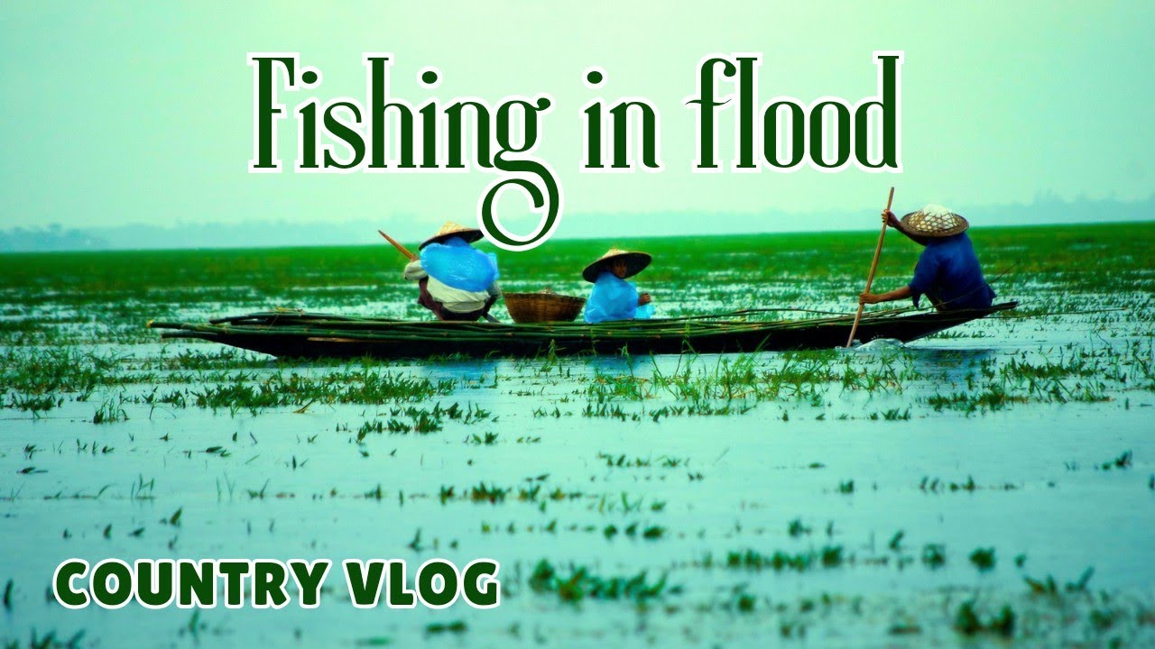 Best fishing in flood water. Village fishing in flood water. Amazing ...