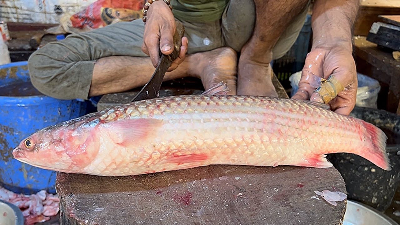 Delicious Big Batta Fish Cutting In Fish Market | Amazing Fish Cutting ...