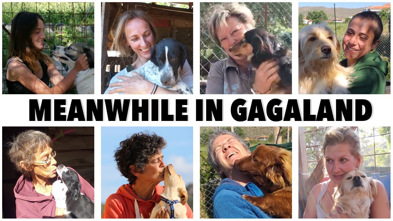 GaGa Animal Care - Meanwhile in GaGaland - April 2020 - YouTube