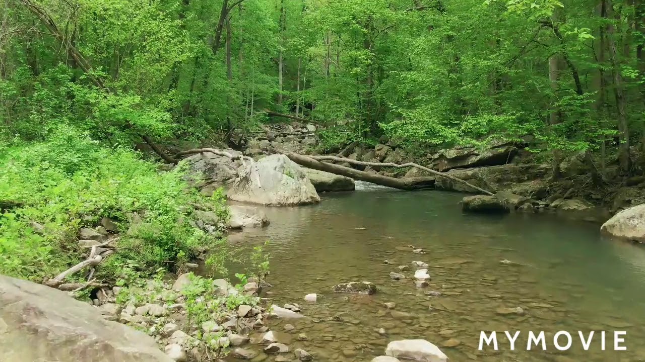 Nature videos - YouTube