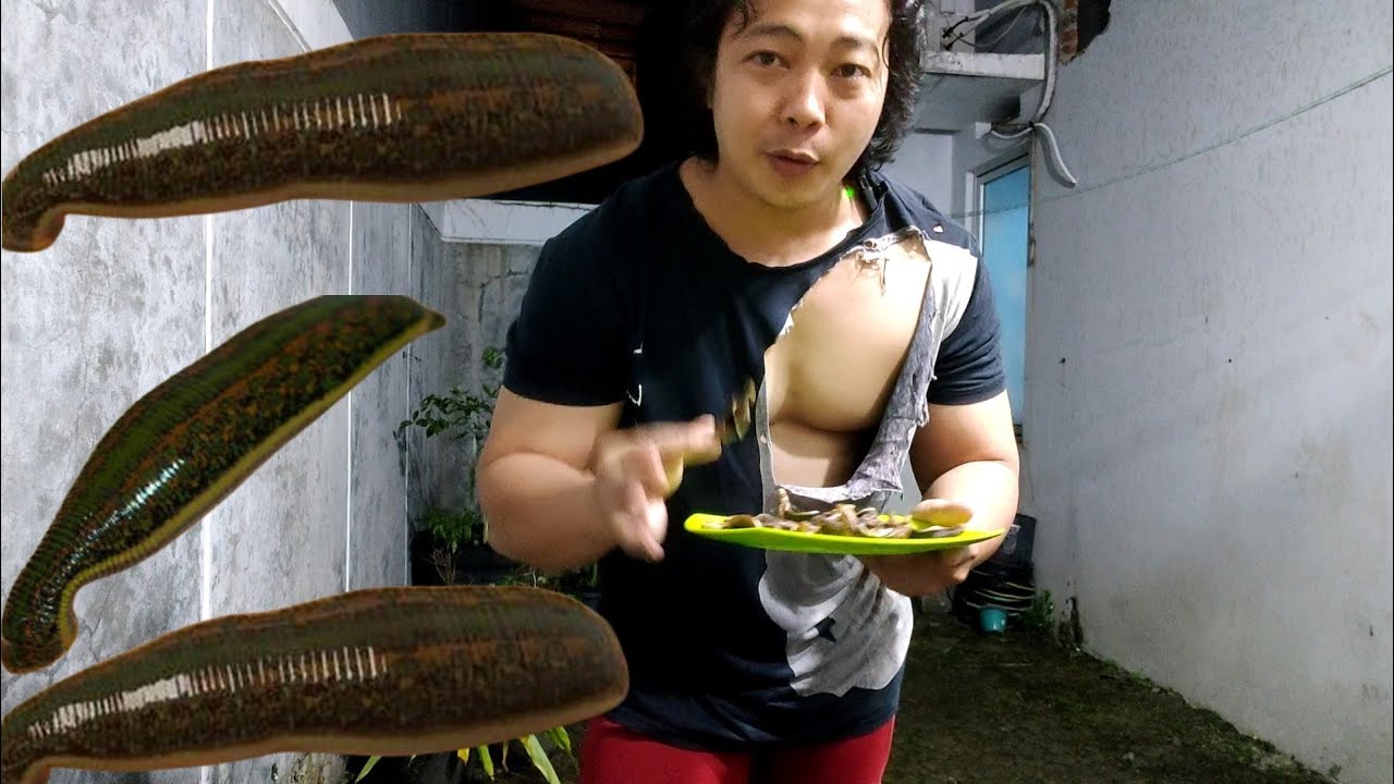 MUKBANG EXSTREME LINTAH PAPUA... - YouTube