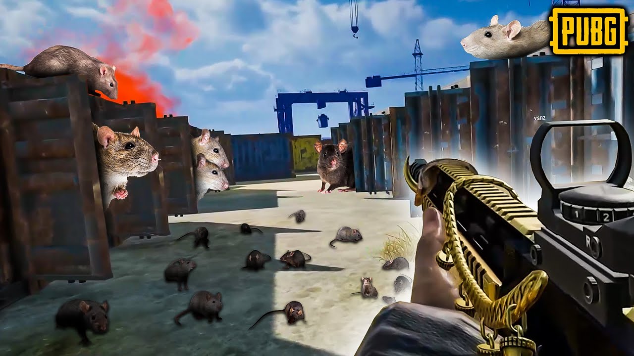 Welcome To RAT CITY - PUBG - YouTube