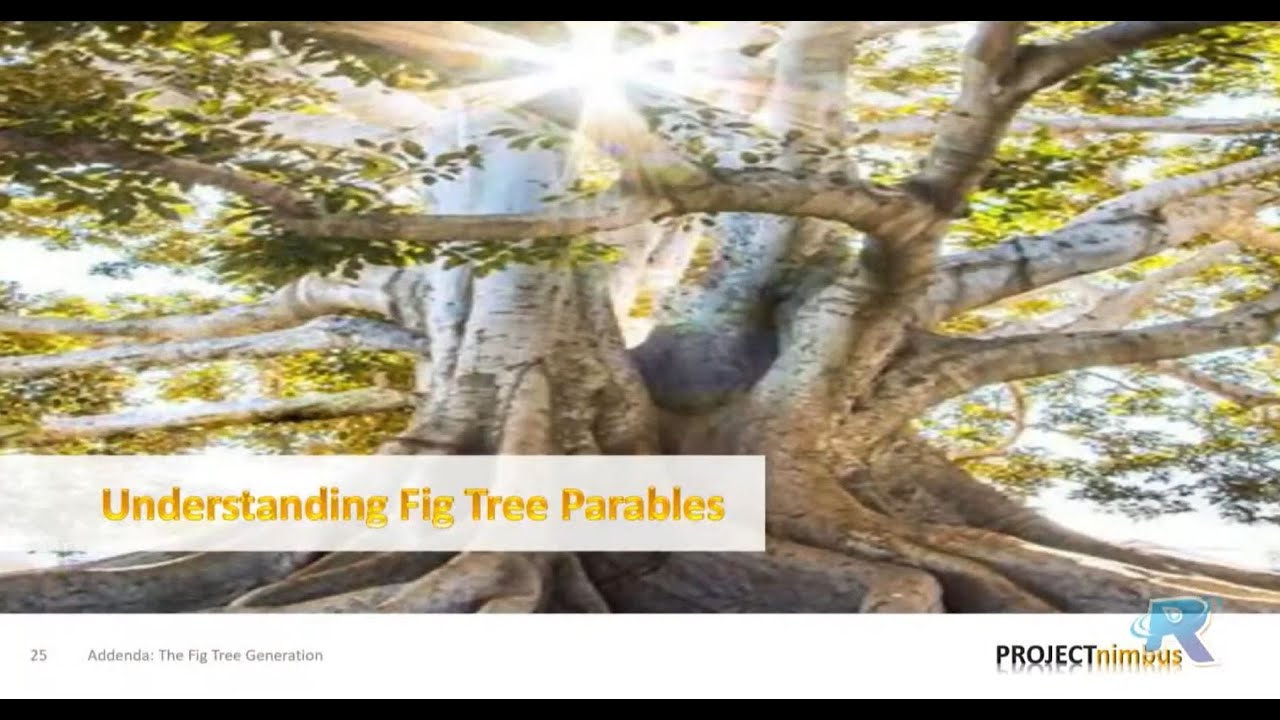 Fig Tree Generation - YouTube