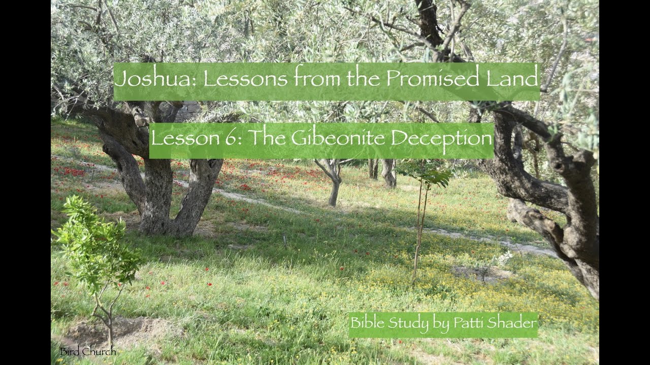 Lesson 6 Joshua: Lessons From the Promised Land "The Gibeonite ...
